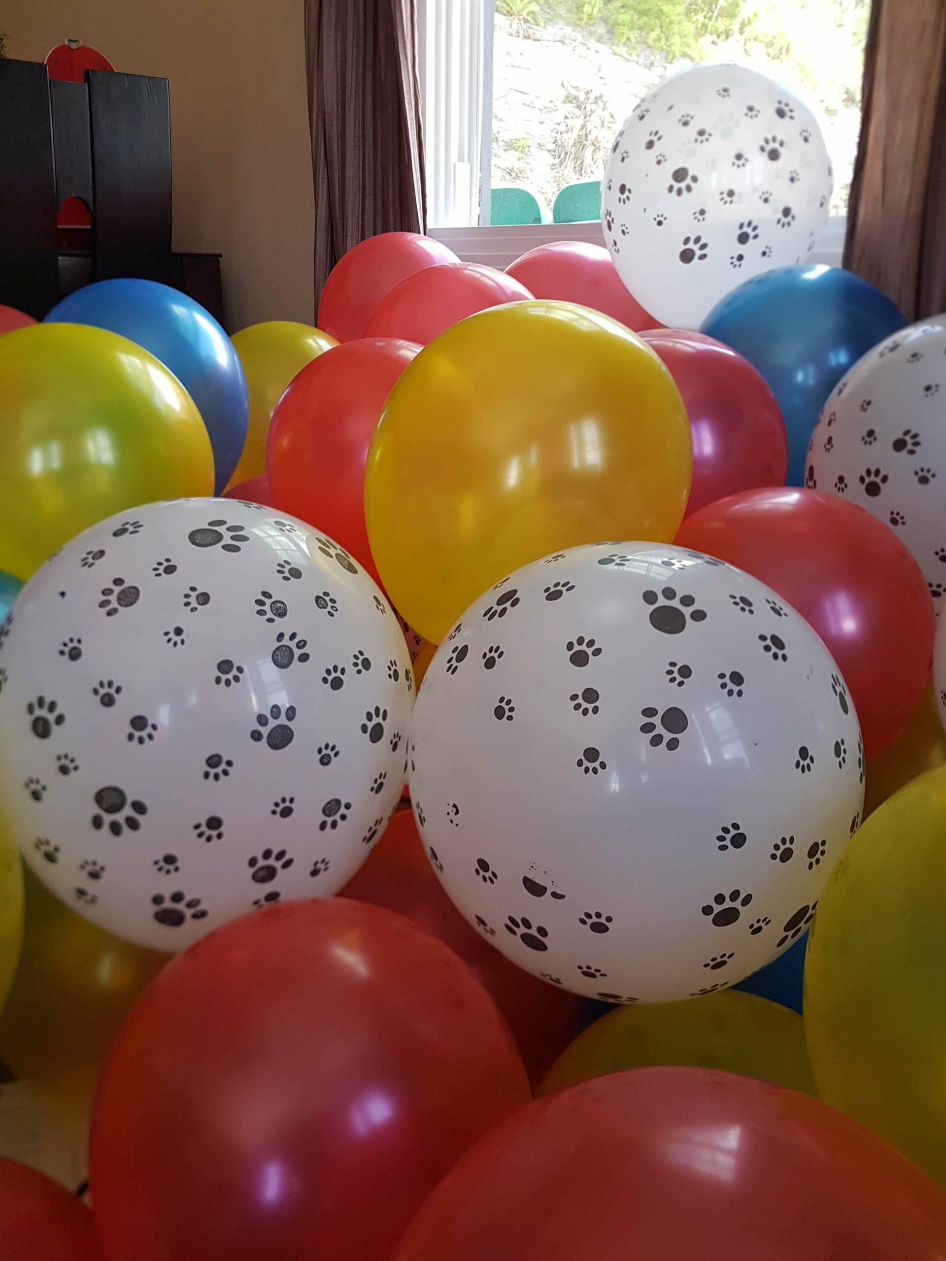 This N That Bermuda Party Rentals » Gallery